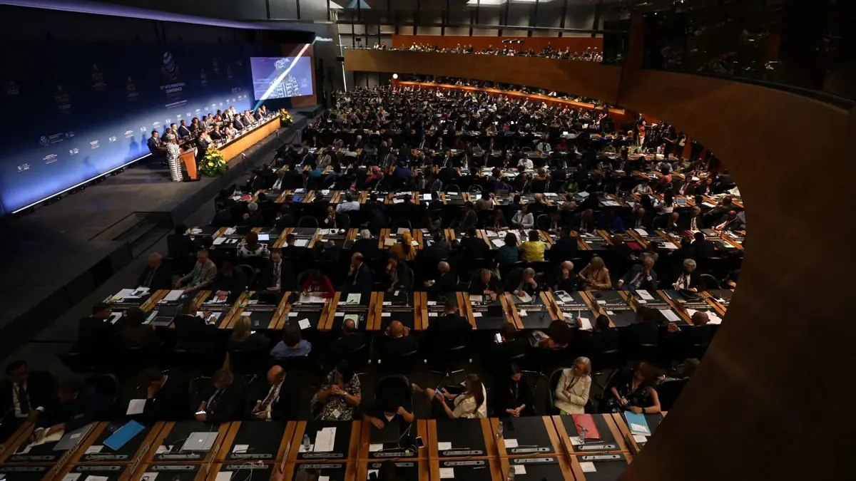 What to expect from WTO MC13 | Article | Hinrich Foundation