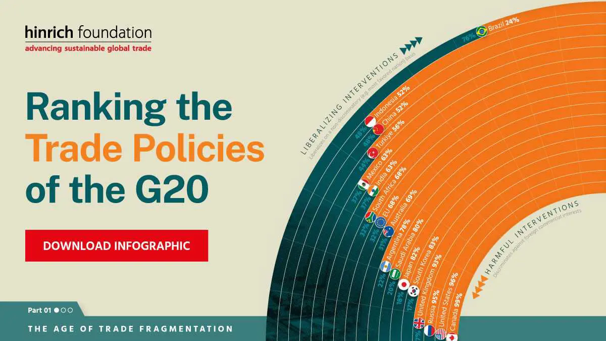 The Great Wave Off the G20 | Infographic | Hinrich Foundation